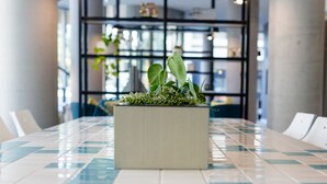 Um interior moderno com uma mesa azulejada e uma planta em vaso no centro.