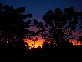 Jardim