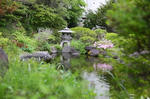 Jardim