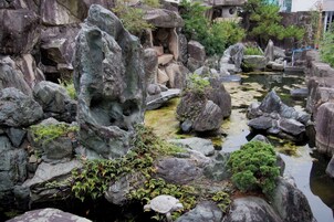 Terrenos do alojamento