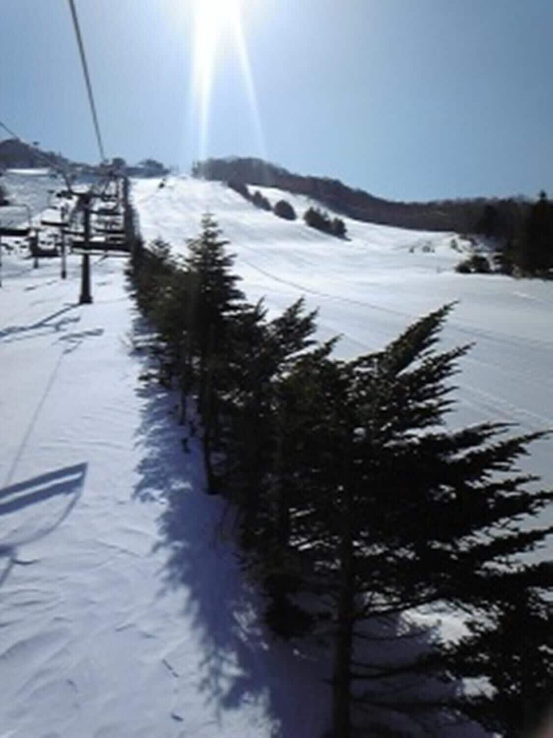 Pista de esqui coberta de neve com um teleférico e árvores.