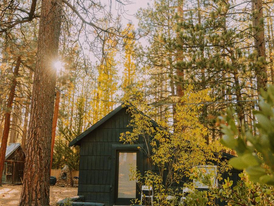 Signature Cabin, 2 Queen Beds, Private Yard (C6) | Terraço/pátio interior