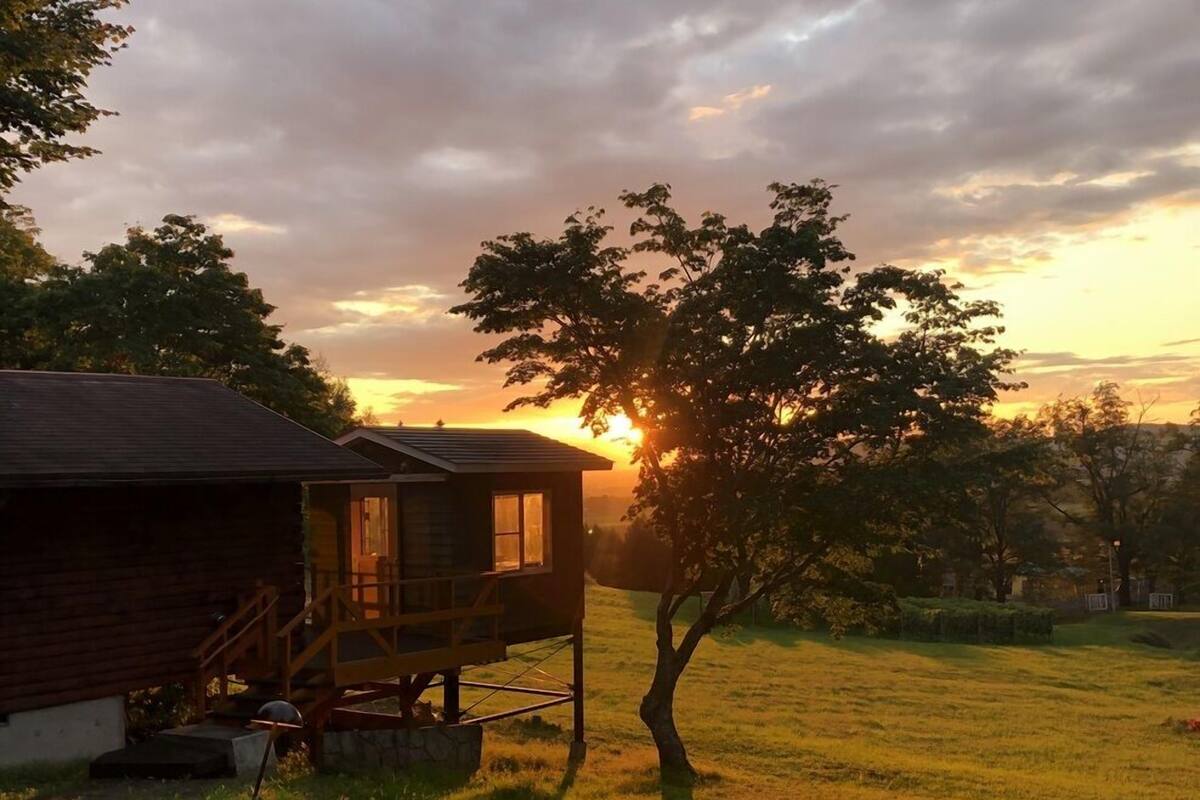 Uma cabana de madeira com varanda e uma árvore ao primeiro plano.