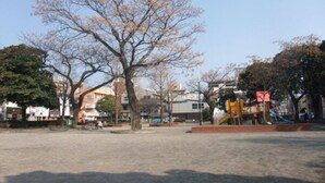 Um parque com parquinho, árvores e edifícios ao fundo.