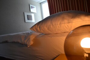 Secretária, cortinas/cortinados opacos, quartos insonorizados 