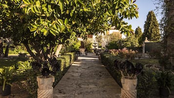 Caminho de pedra serpenteando por um jardim com diversas plantas e uma fonte.