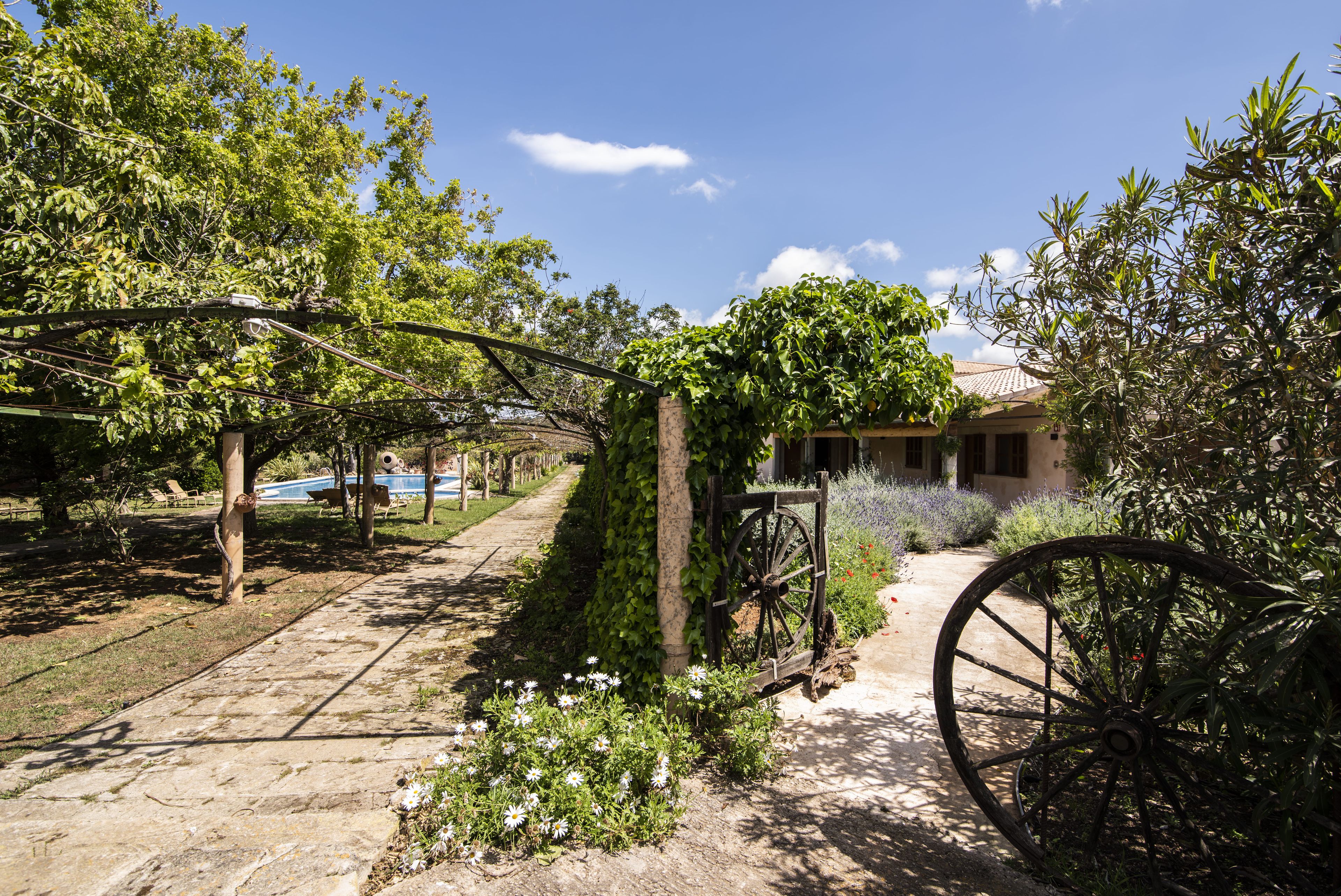 Caminho no jardim leva a um edifício com uma grande roda, cercado por vegetação e céu claro.