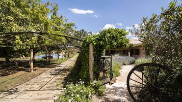 Caminho no jardim leva a um edifício com uma grande roda, cercado por vegetação e céu claro.