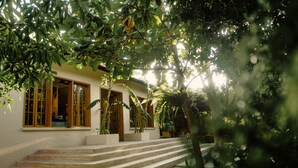 Uma casa com um conjunto de degraus que levam a uma porta de madeira, rodeada por vegetação exuberante.
