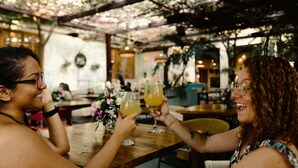 Duas pessoas brindando com bebidas em uma mesa de madeira num restaurante com decoração rústica e plantas penduradas.