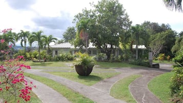 Jardim