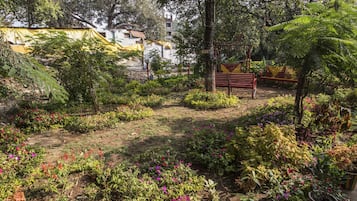 Vista para o jardim