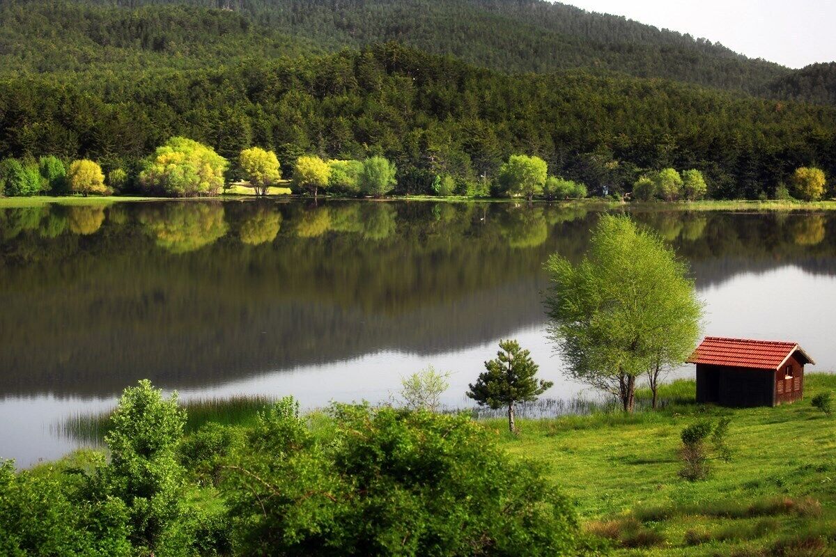 Vista tranquila de um lago, com uma pequena cabana vermelha, vegetação exuberante e uma colina arborizada ao fundo.