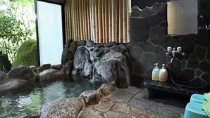 Uma área de banho de pedra com uma cascata, uma parede de pedra e um painel de bambu.