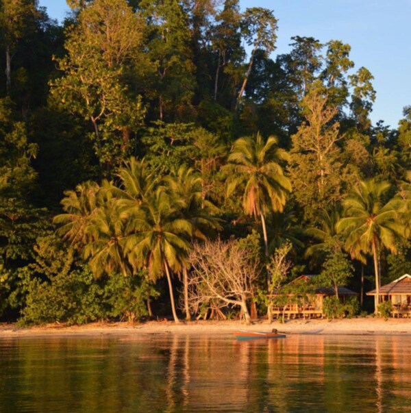 Harmony Bay Resort And Dive Center - Central Sulawesi