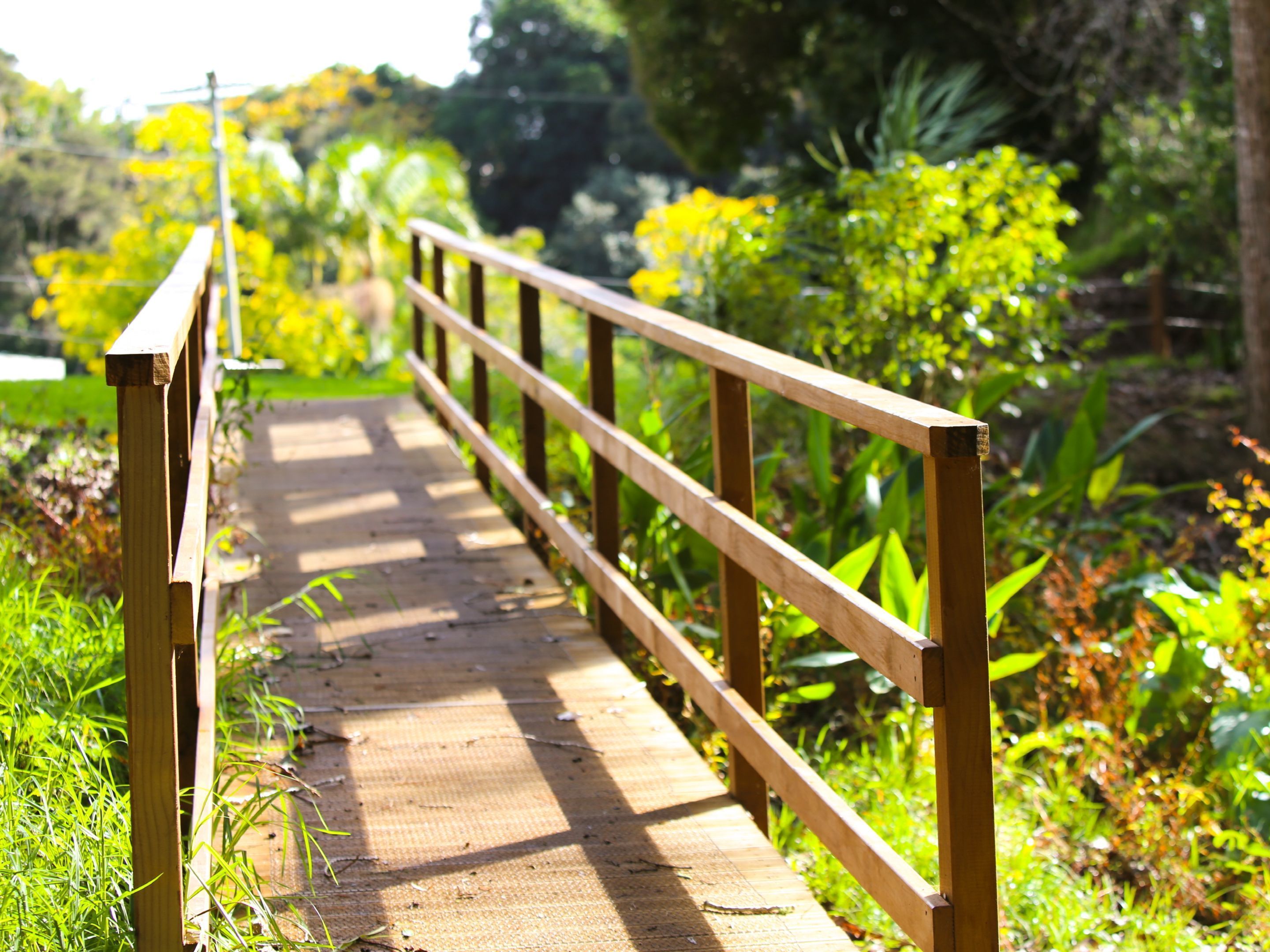 Uma ponte de madeira com grades de metal, rodeada por vegetação exuberante e árvores.