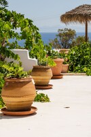 Vasos de terracota com plantas verdes dispostos num terraço com vista para o mar.