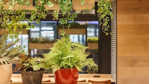 Interior de restaurante com plantas penduradas, paredes de madeira e uma grande janela ao fundo.