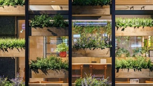 Um edifício moderno com vários vasos de madeira contendo diversas plantas e flores.