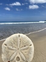 Perto da praia, praia de areia branca, espreguiçadeiras 