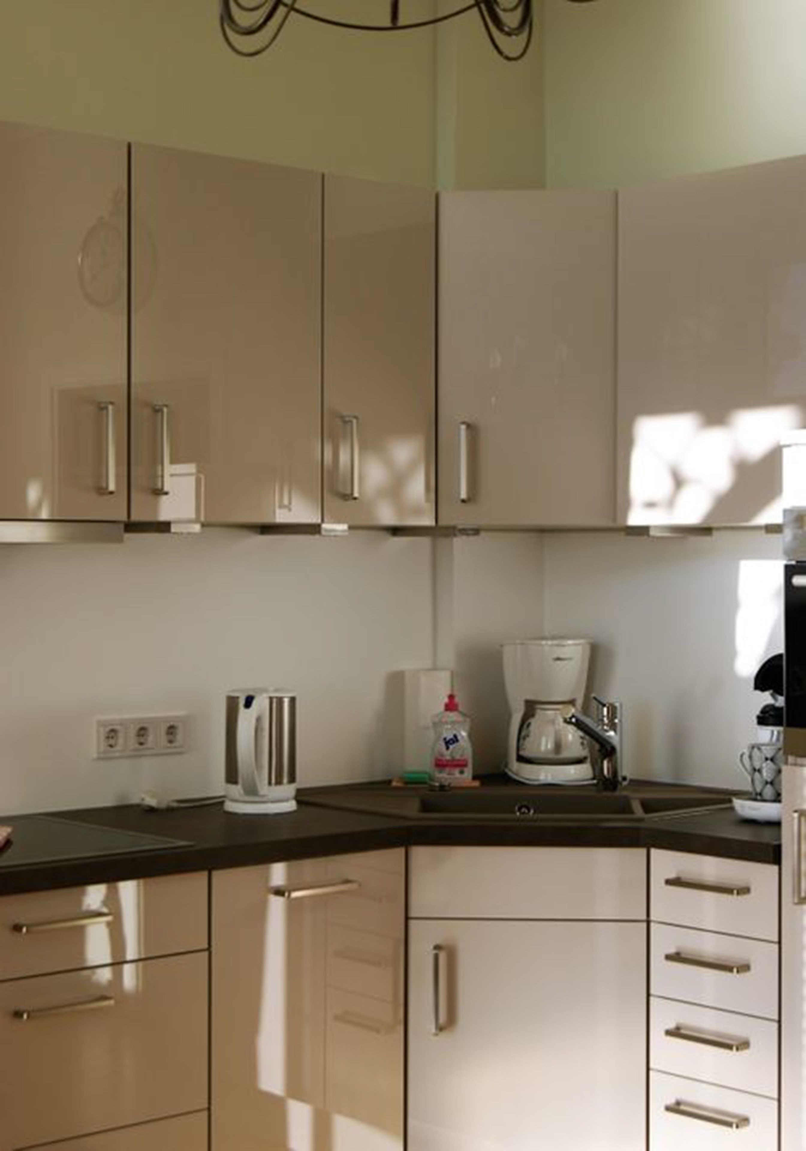 Apartamento (No. 101) | Cozinha privada | Um frigorífico, um micro-ondas, um forno, uma placa de cozinha 