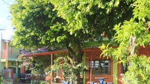 Um edifício com fachada de tijolos, área externa com mesas e cadeiras azuis e uma árvore oferecendo sombra.