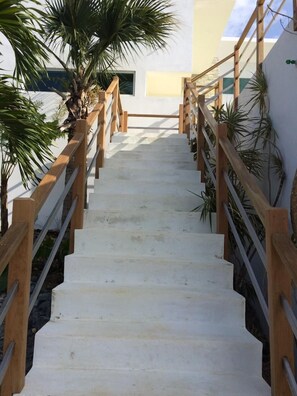 Entrada (vista interna)