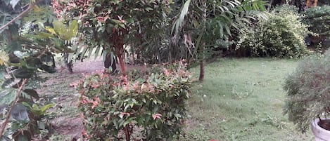 Terrenos do alojamento