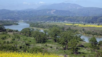Área da propriedade