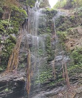 Uma cascata despencando sobre um penhasco rochoso, com vegetação densa.