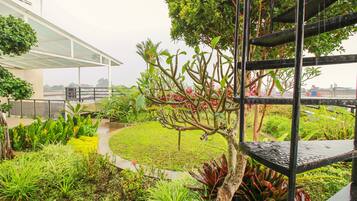 Jardim