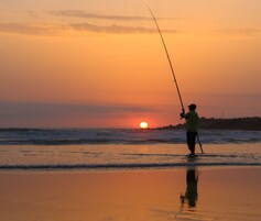 Pesca