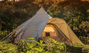 Uma tenda em forma de cúpula situada em ambiente natural com vegetação ao redor.