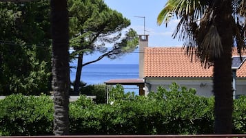 Terrenos do alojamento