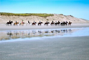 Uma praia com um grupo de pessoas cavalgando cavalos.