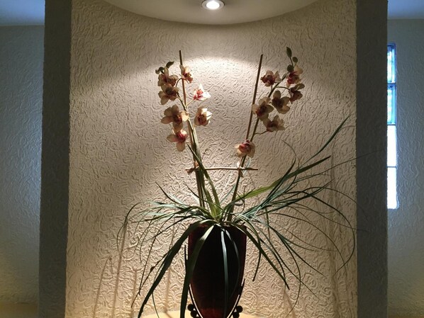 Uma planta de orquídea em vaso, com folhas verdes longas e flores cor-de-rosa, colocada em uma parede texturizada com uma janela à direita.