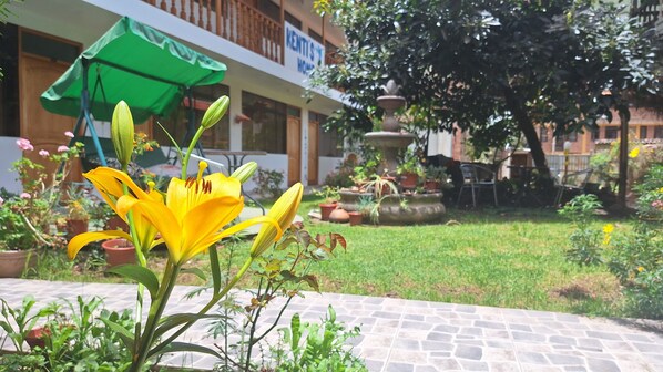 Um jardim com uma flor amarela em primeiro plano, um guarda-sol verde e um edifício com uma placa que diz 'KENT'S HOME'.