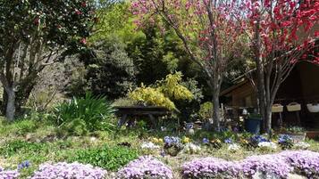 Jardim