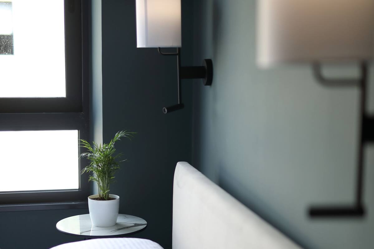 Uma cama bem arrumada com roupa de cama branca, uma pequena planta em vaso sobre uma mesa de cabeceira e um abajur fixado na parede.