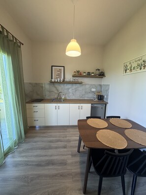 Apartamento Familiar | Cozinha privada | Um frigorífico/congelador grande, uma placa de cozinha 