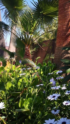 Bonita Casa De Campo Con Piscina - Palma