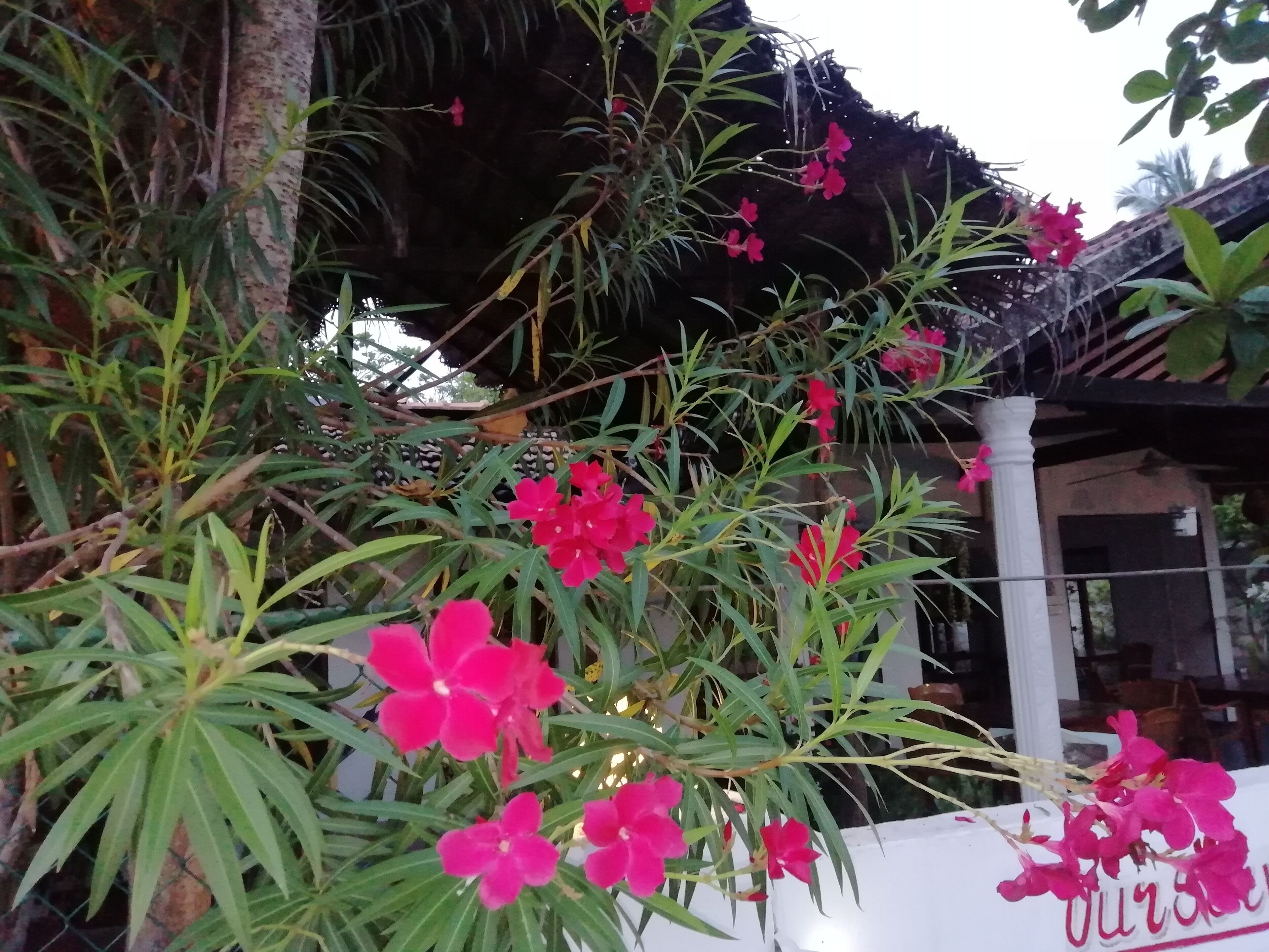 Quarto casal luxo | Vista para o jardim