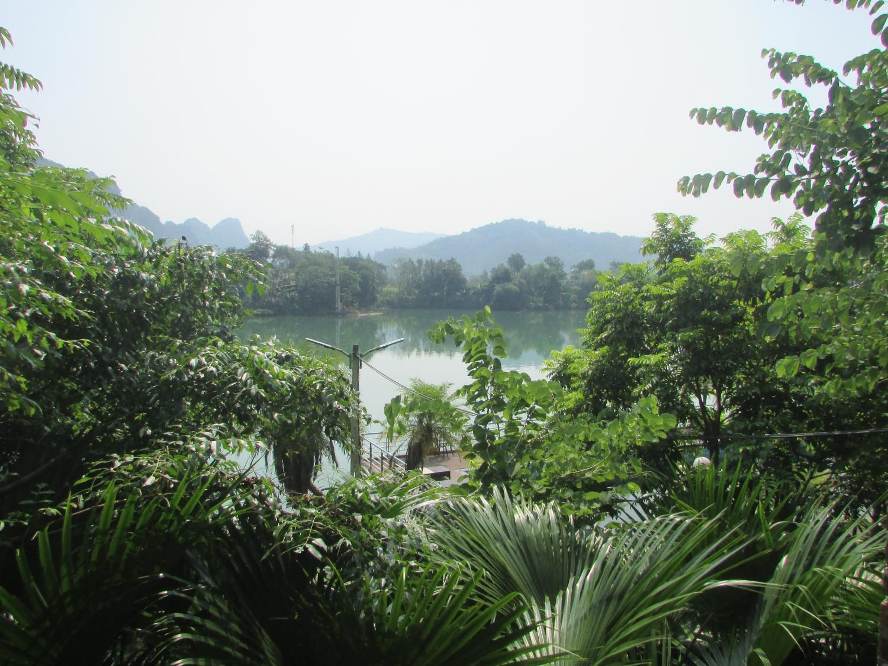 Vista tranquila de um lago, com vegetação exuberante e montanhas ao longe.