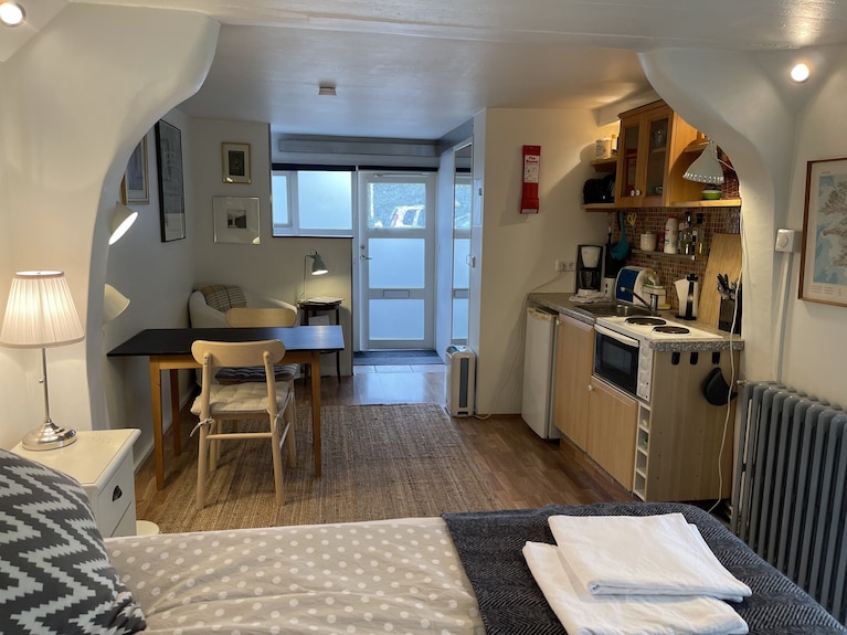 Zeer Mooi Studio-appartement In Het Centrum Van De Stad - Reykjavik