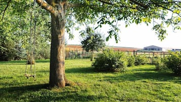 Jardim