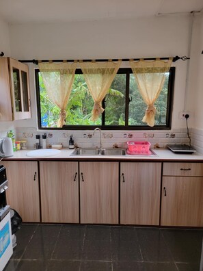 Apartamento básico, 1 quarto | Cozinha privada | Micro-ondas, cafeteira/chaleira, chaleira elétrica