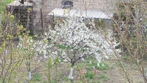 Jardim