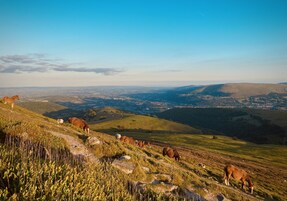 Vista para a região
