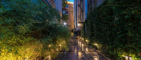 Uma viela estreita com calçada molhada, ladeada por folhagem densa e iluminada por postes de luz.