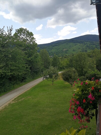 Guesthouse Blazenka Hodak